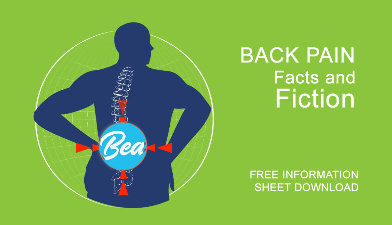 Understanding Low Back Pain: Facts vs. Fiction - Bea Sports Injury Clinics